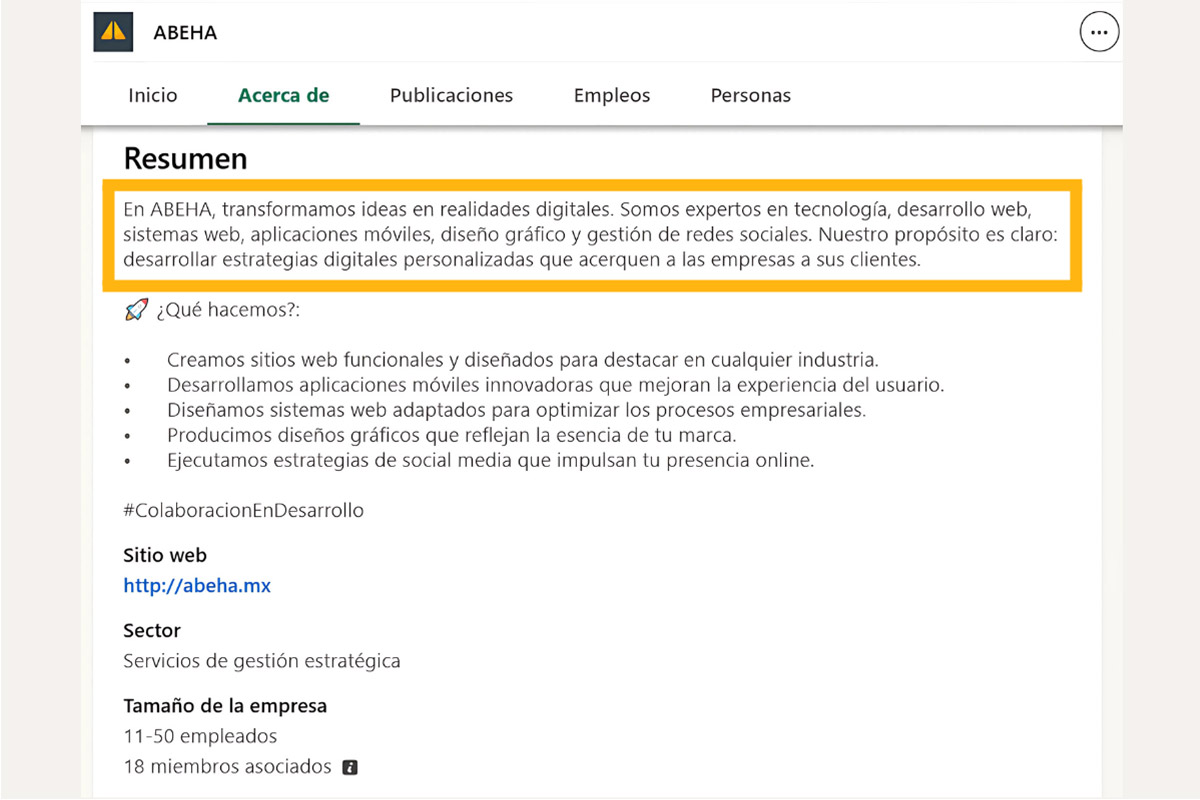 Elementos que debes incluir en tu descripción de redes sociales - ABEHA